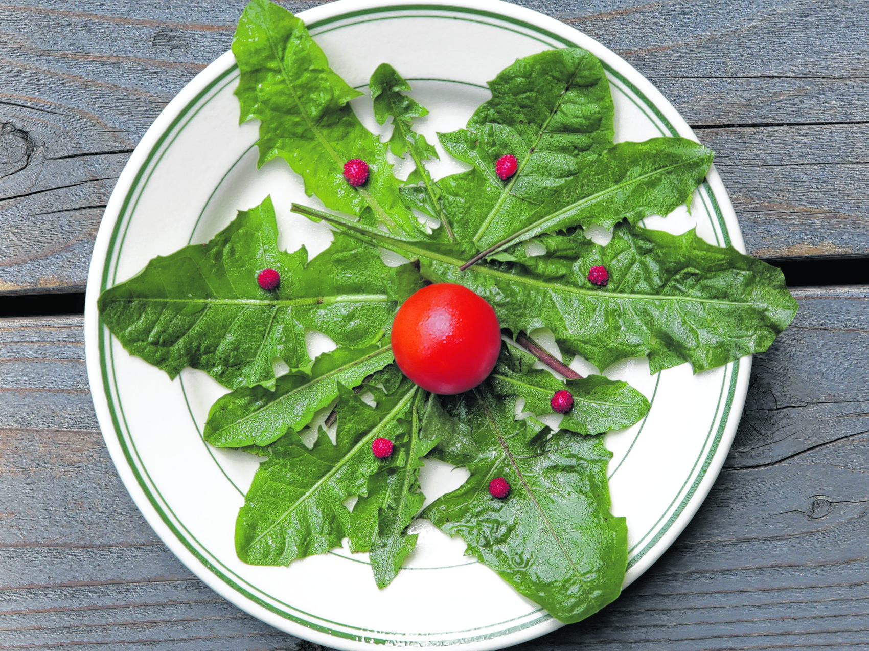 dandelion leaves salad
