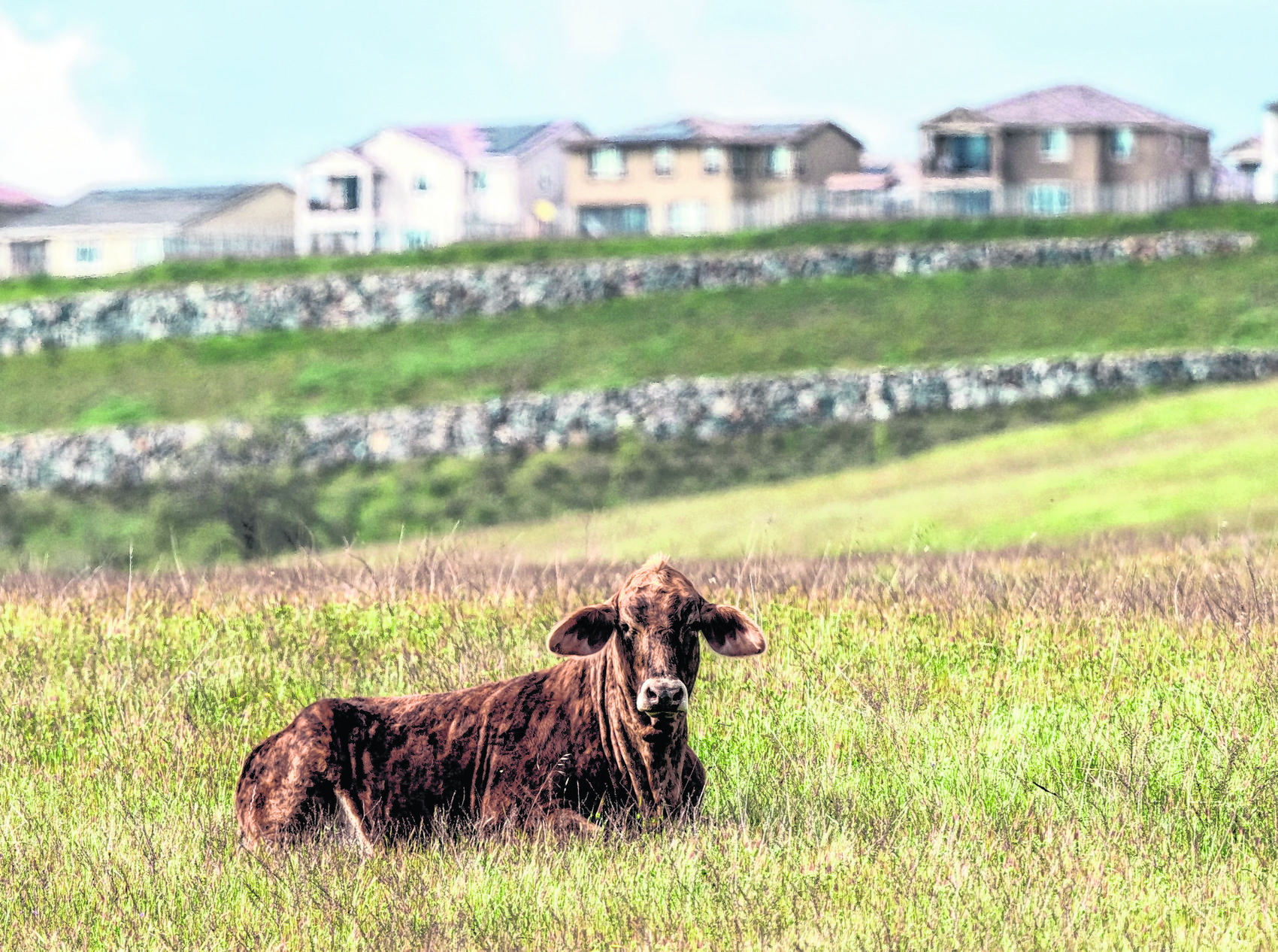 Proposal for sprawling development south of Highway 50 is missing key ...