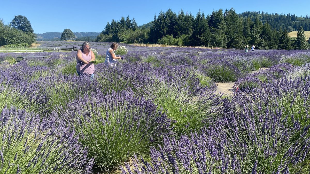 photos by alex pulaski the washington post summer visitors gather ...