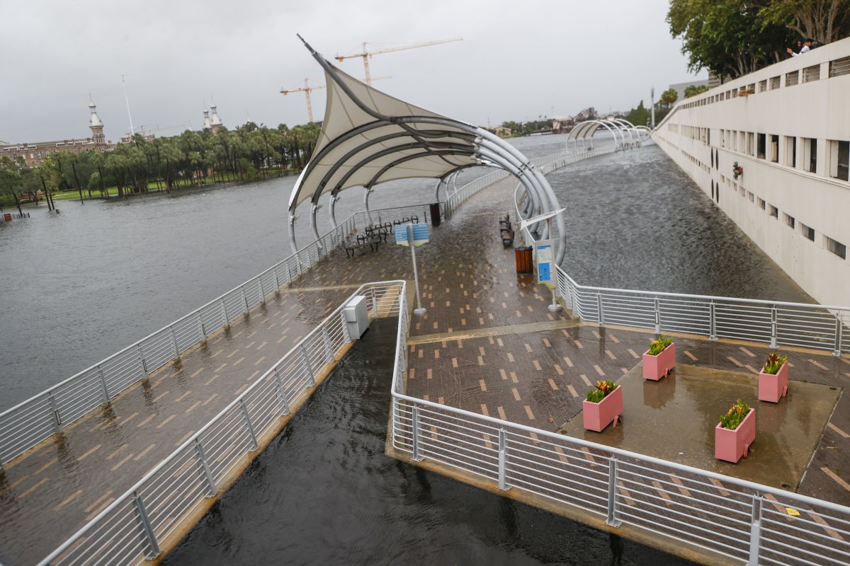 ivy ceballo times the hillsborough river rises onto the riverwalk in ...