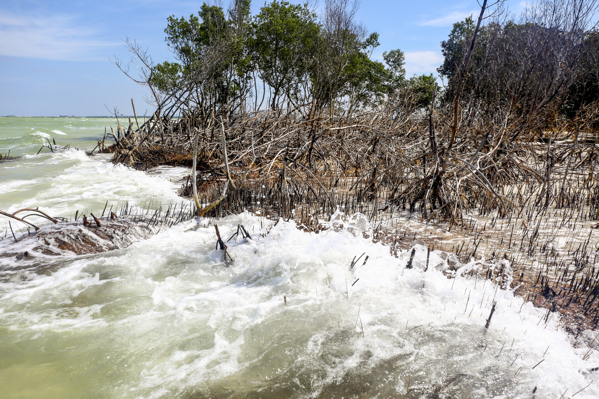 DOUGLAS R. CLIFFORD | Times