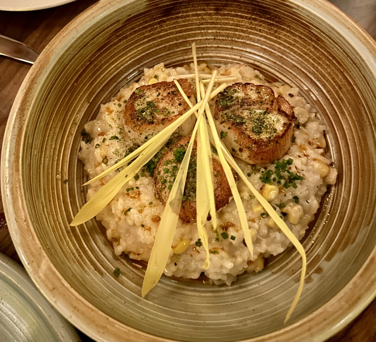 michelle stark times fortu st petersburg